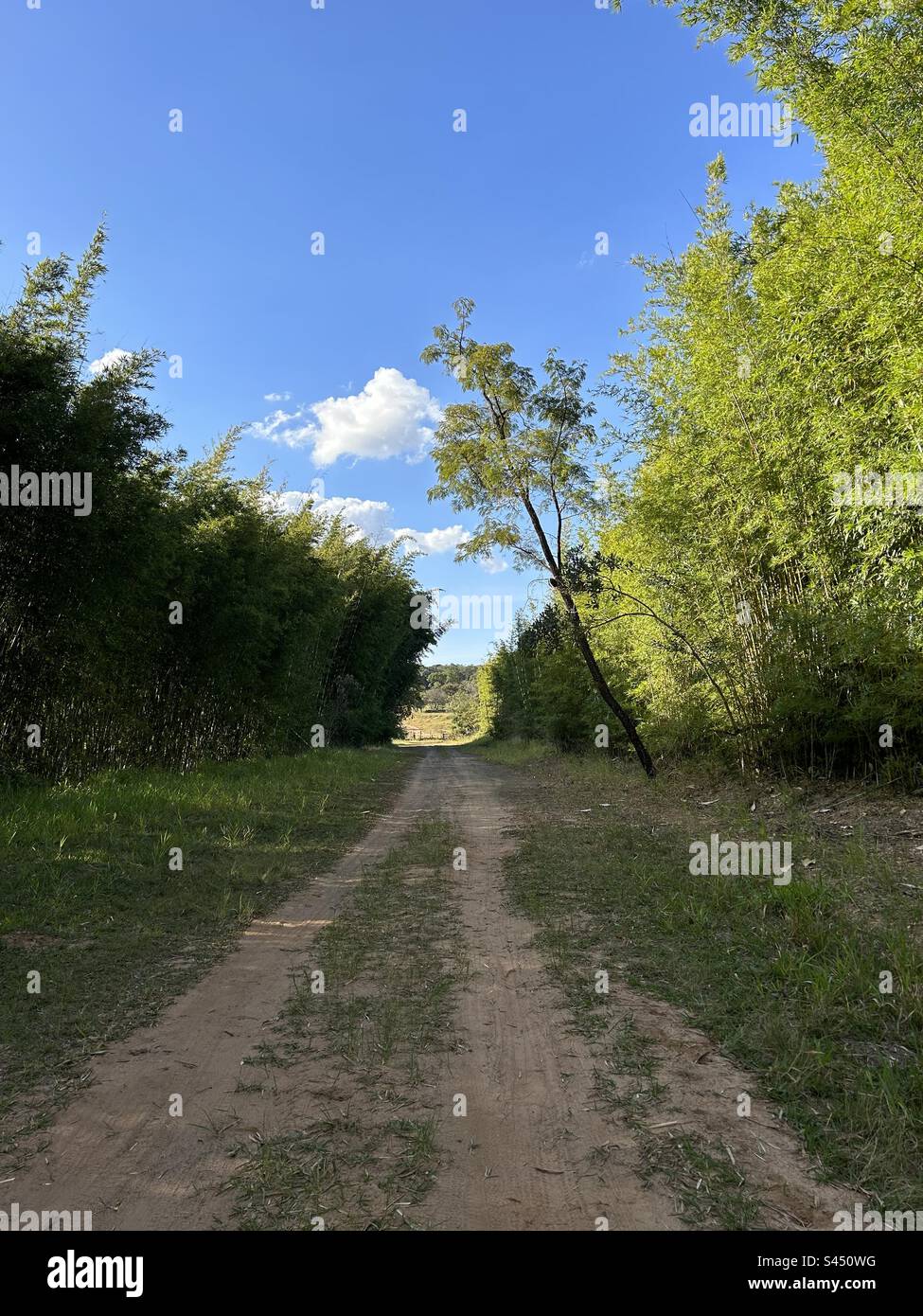 Horizon natural hi-res stock photography and images - Alamy