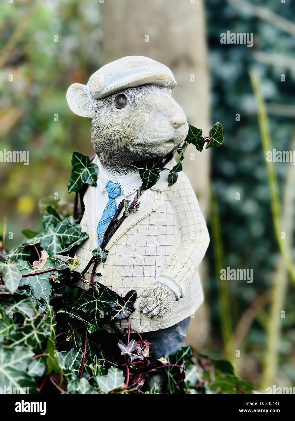 Mr perfect hi-res stock photography and images - Alamy