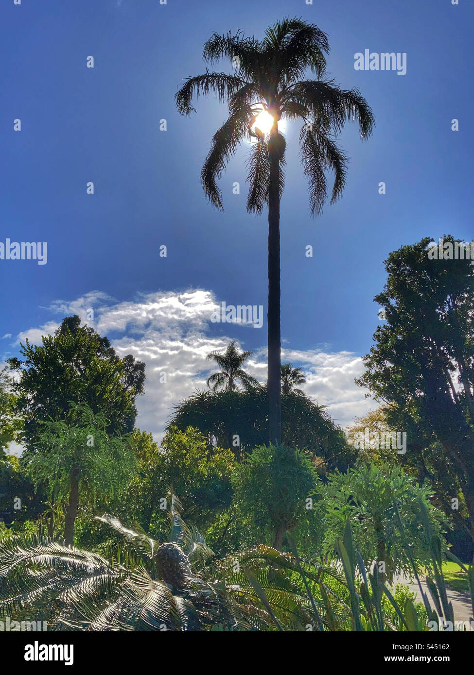 Royal Botanic Gardens Victoria Melbourne Stock Photo - Alamy Royal Botanic Gardens Victoria Melbourne Stock Photo - Alamy