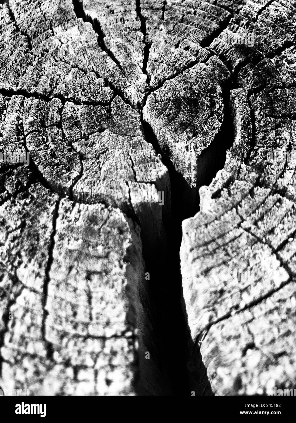 Log shape hi-res stock photography and images - Alamy