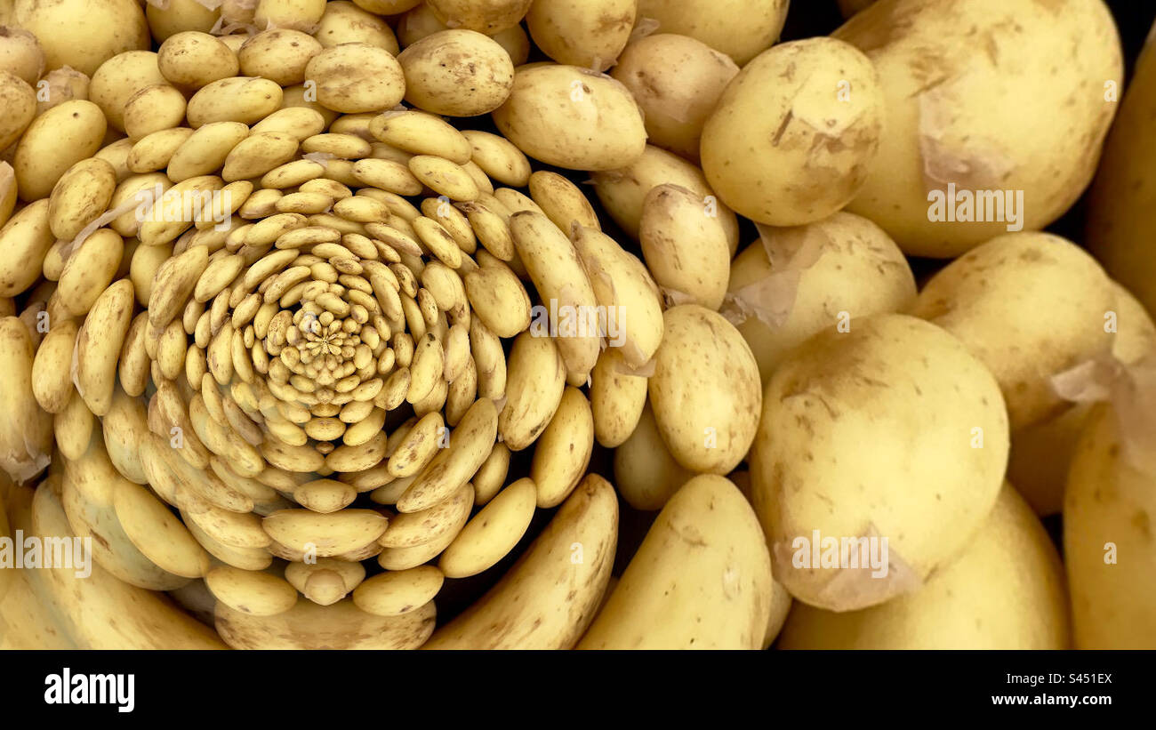 Tiny Planet Potatoes Stock Photo - Alamy