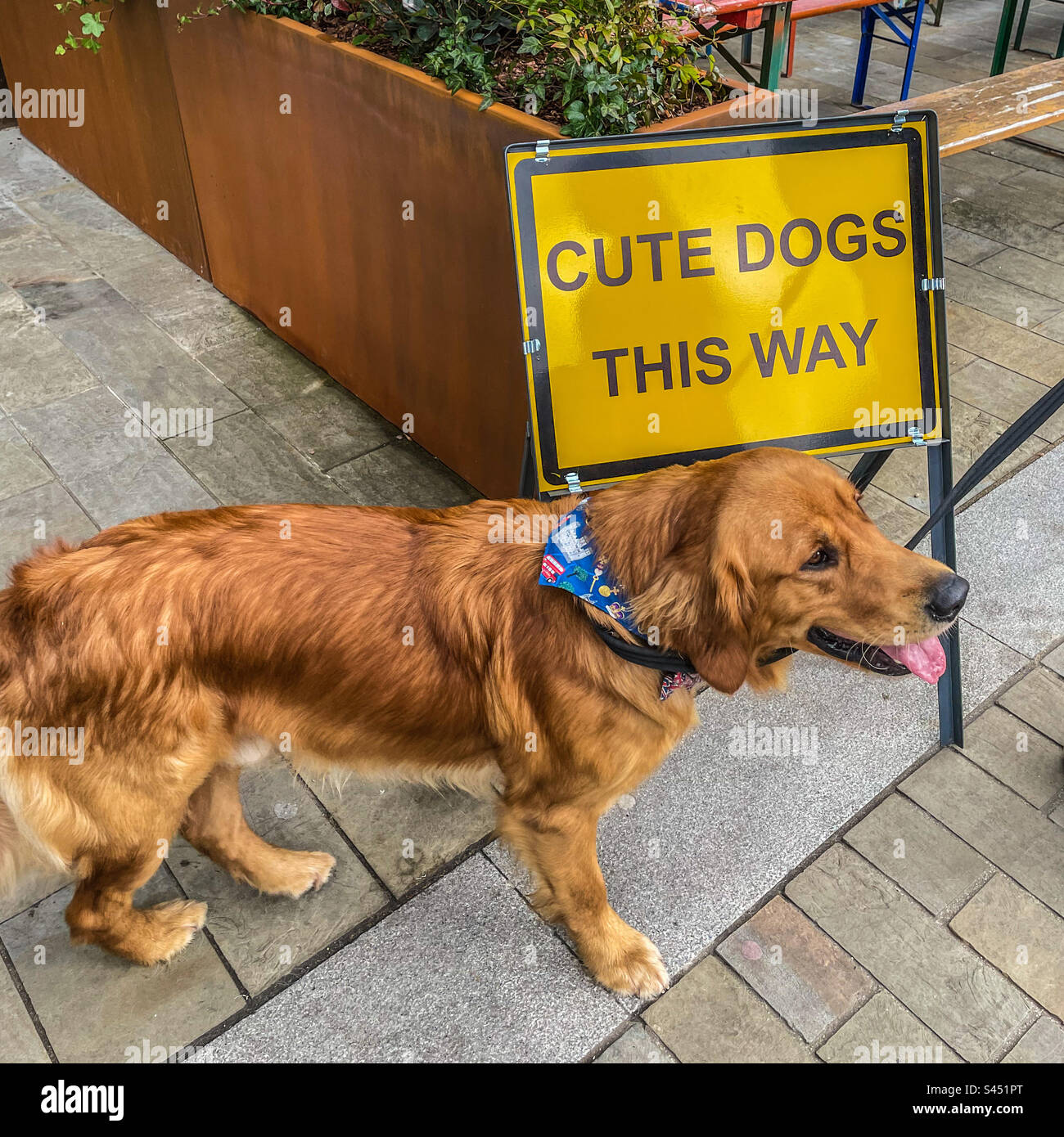 Golden cafe hi-res stock photography and images - Alamy