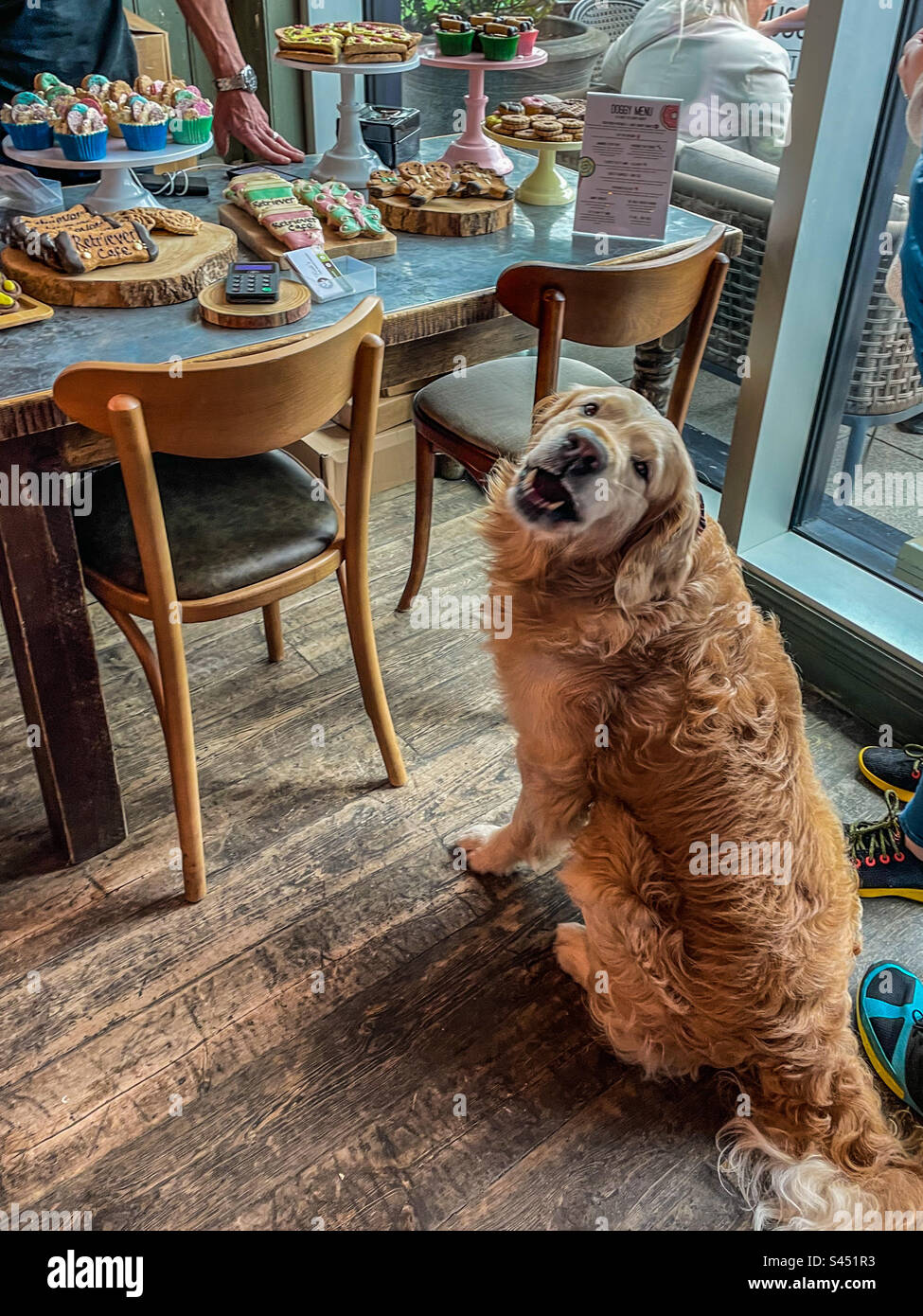 Golden cafe hi-res stock photography and images - Alamy