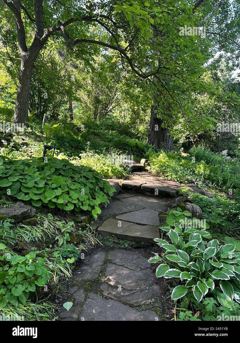 Reader rock garden hi-res stock photography and images - Alamy