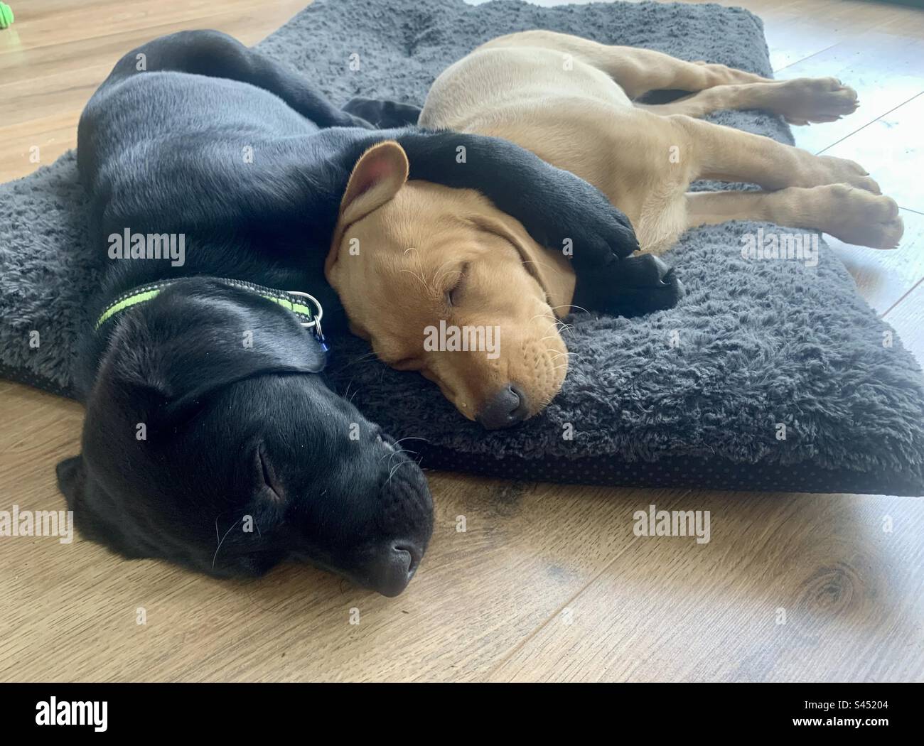 Lab time hi-res stock photography and images - Alamy