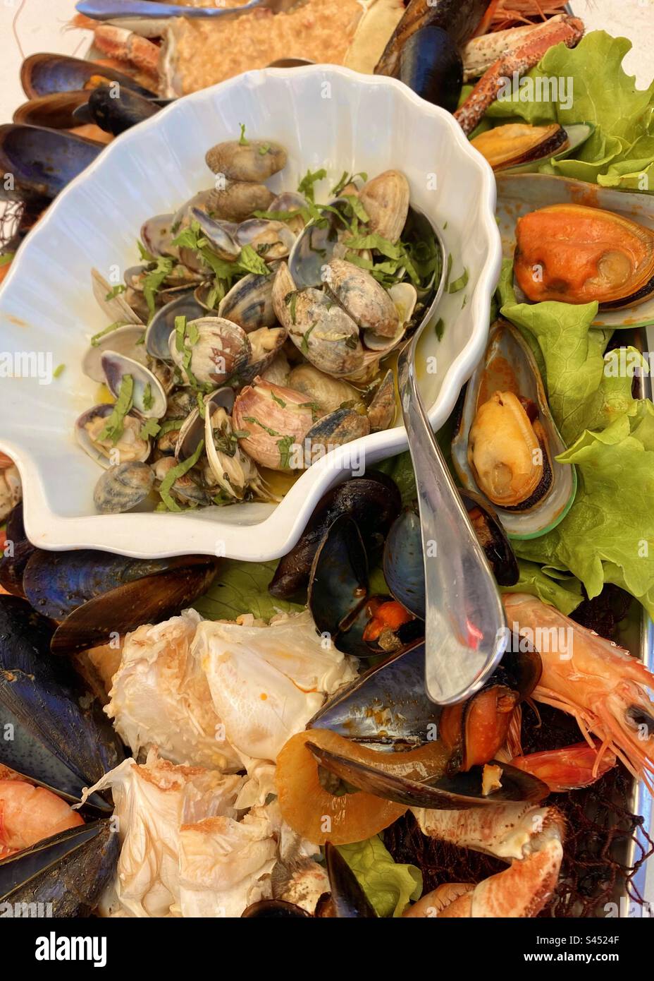 Sea food shells hi-res stock photography and images - Alamy