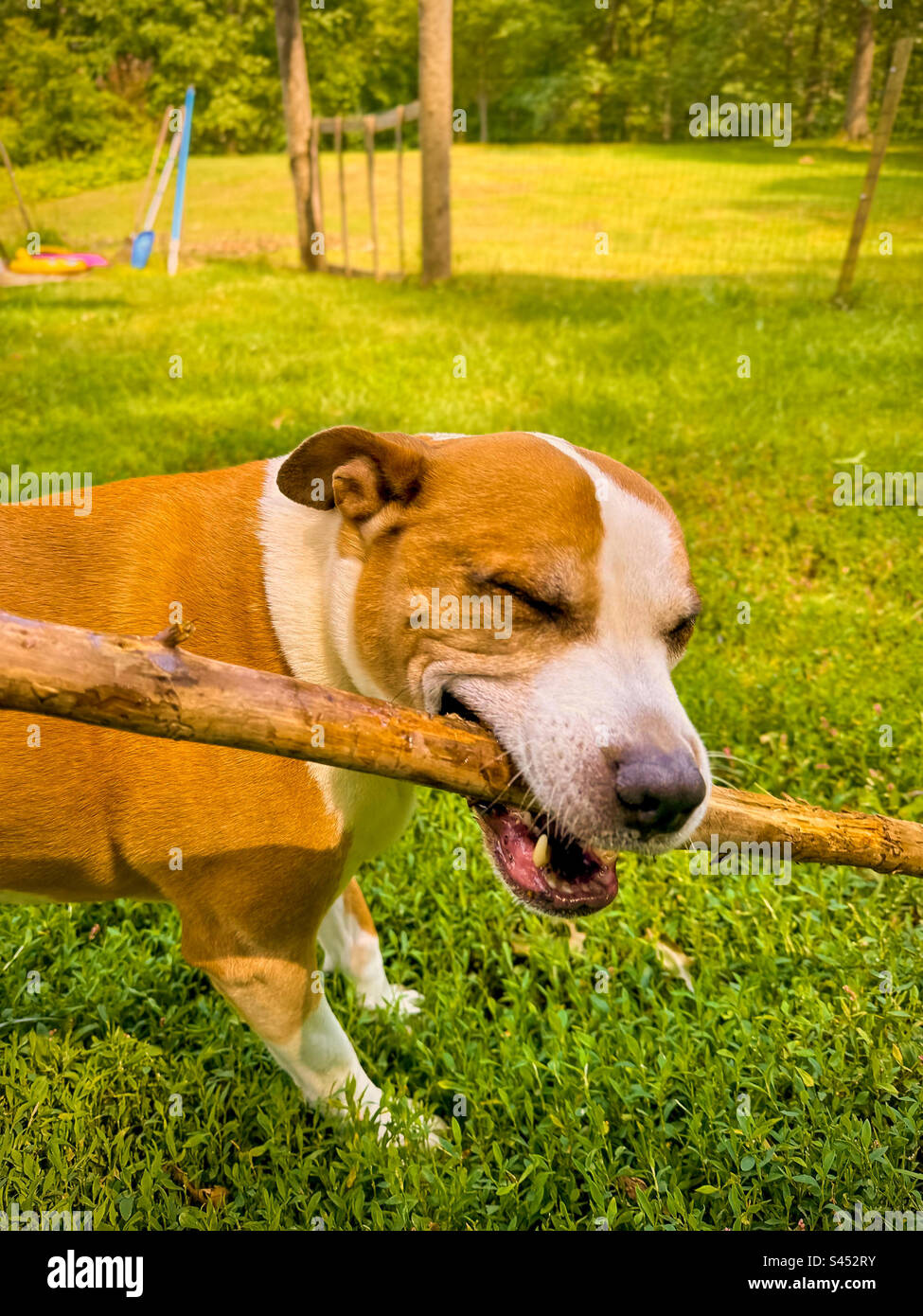 Stick smile hi-res stock photography and images - Alamy