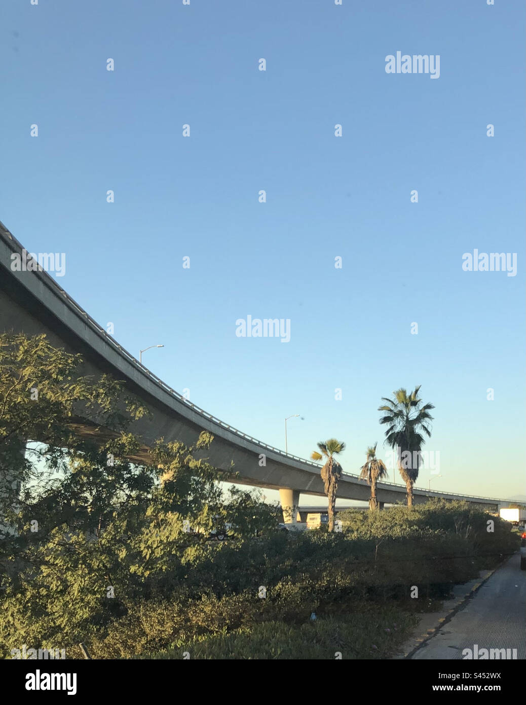 Road palm trees hi-res stock photography and images - Alamy