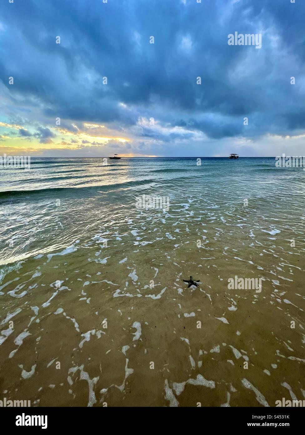 Raining fish hi-res stock photography and images - Alamy