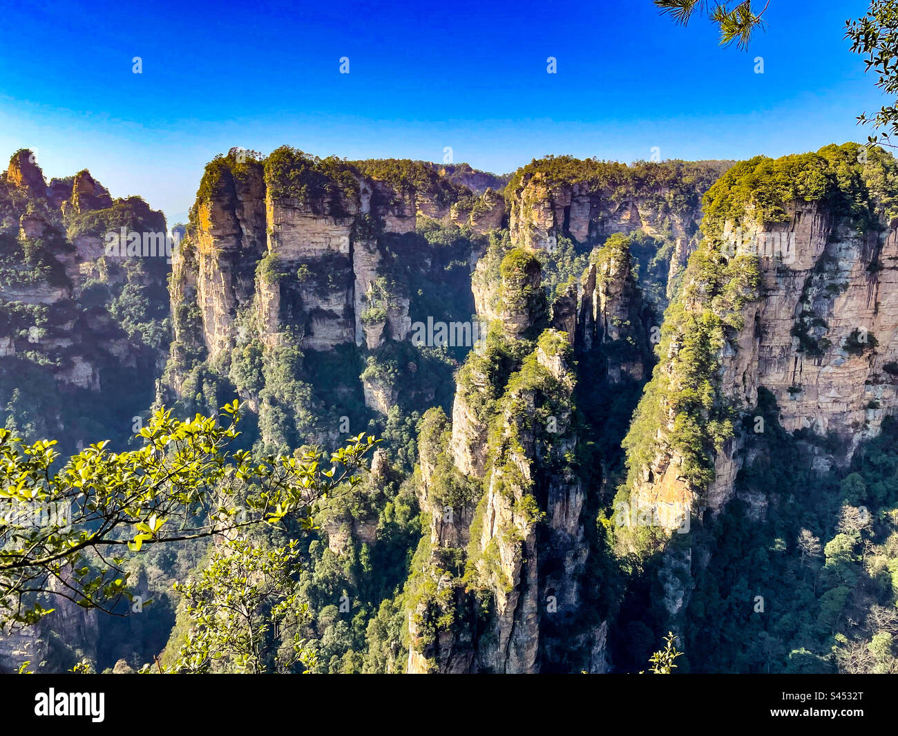 Avatar mountain Zhangjiajie Stock Photo - Alamy