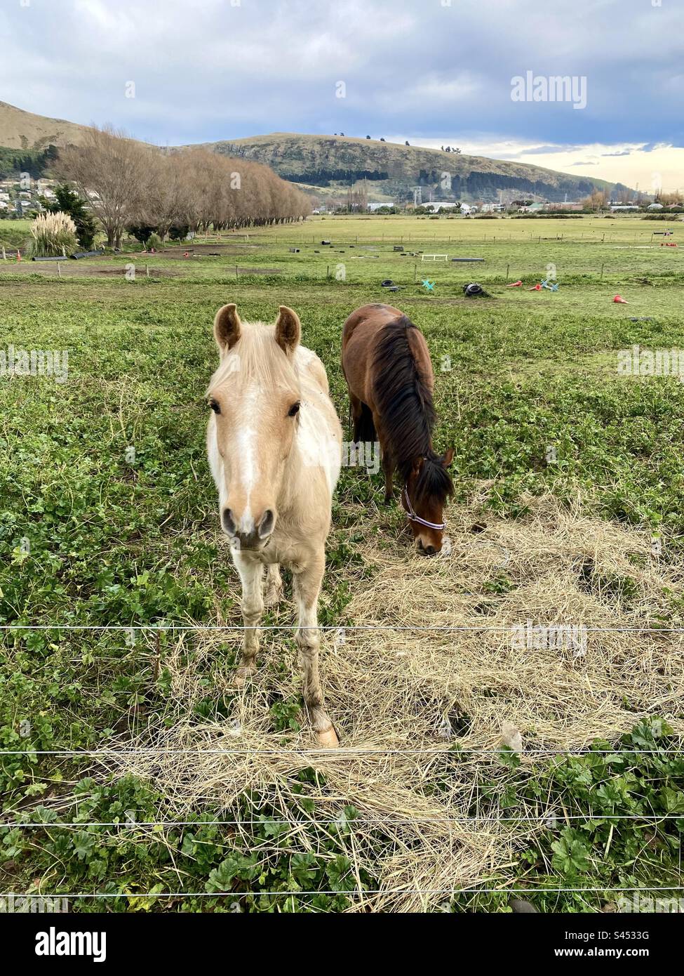 Hay field in new zealand hi-res stock photography and images - Alamy