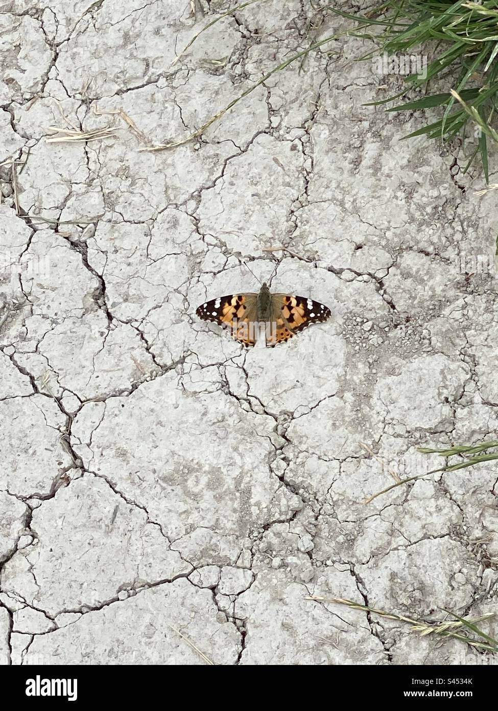 Cambiamentoclimatico hi-res stock photography and images - Alamy