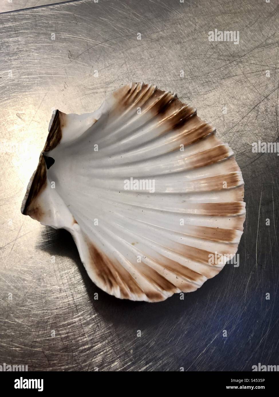 Restaurant shell hi-res stock photography and images - Alamy