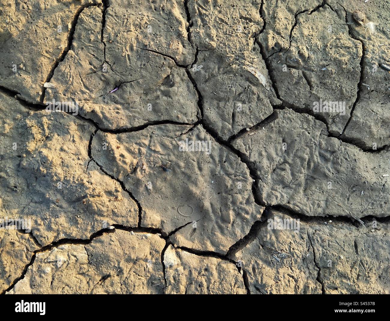 Earth ground plan hi-res stock photography and images - Alamy