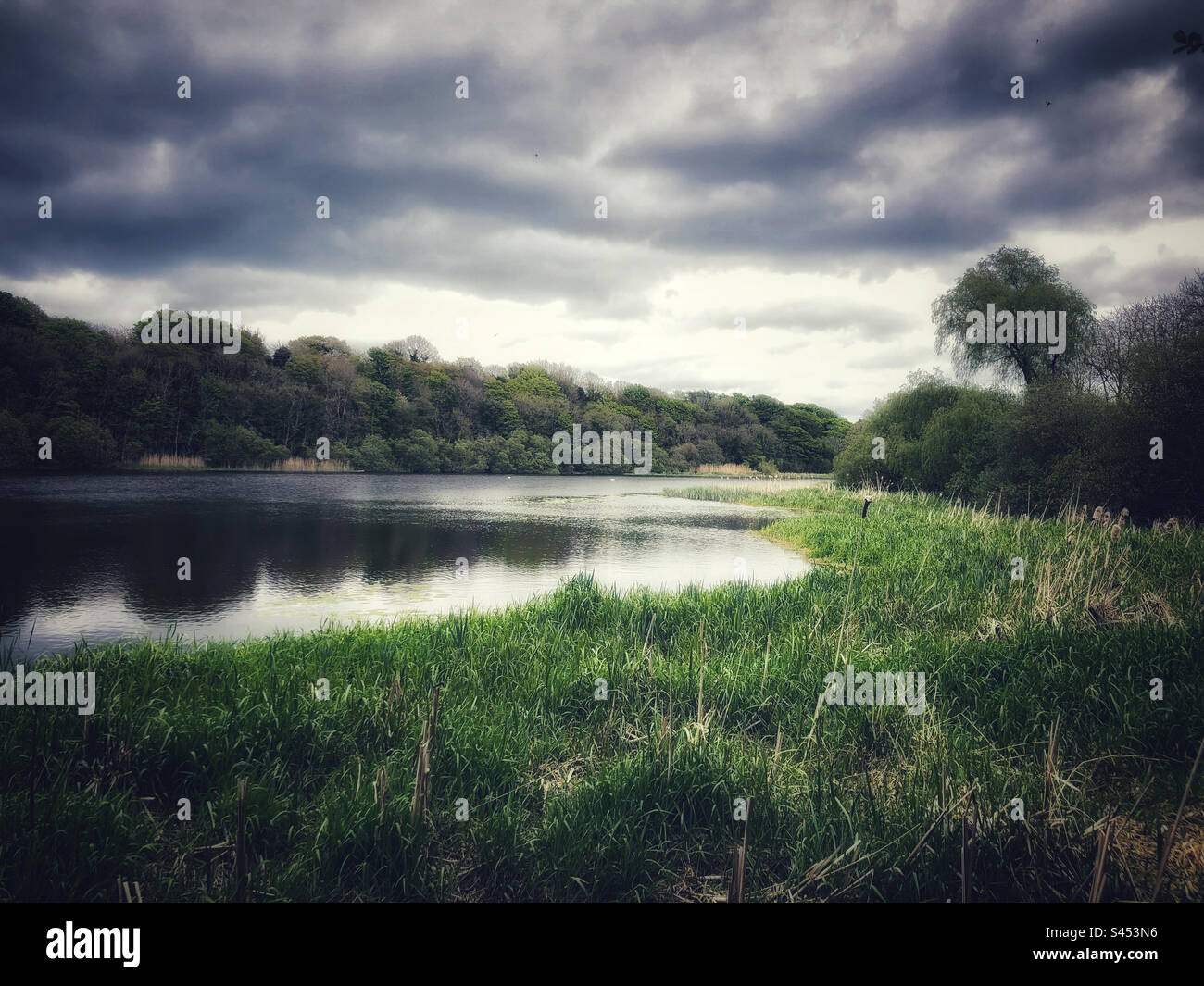 Grassy river bank hi-res stock photography and images - Alamy
