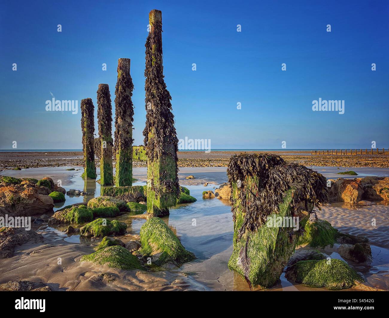 Climping west sussex hi-res stock photography and images - Alamy