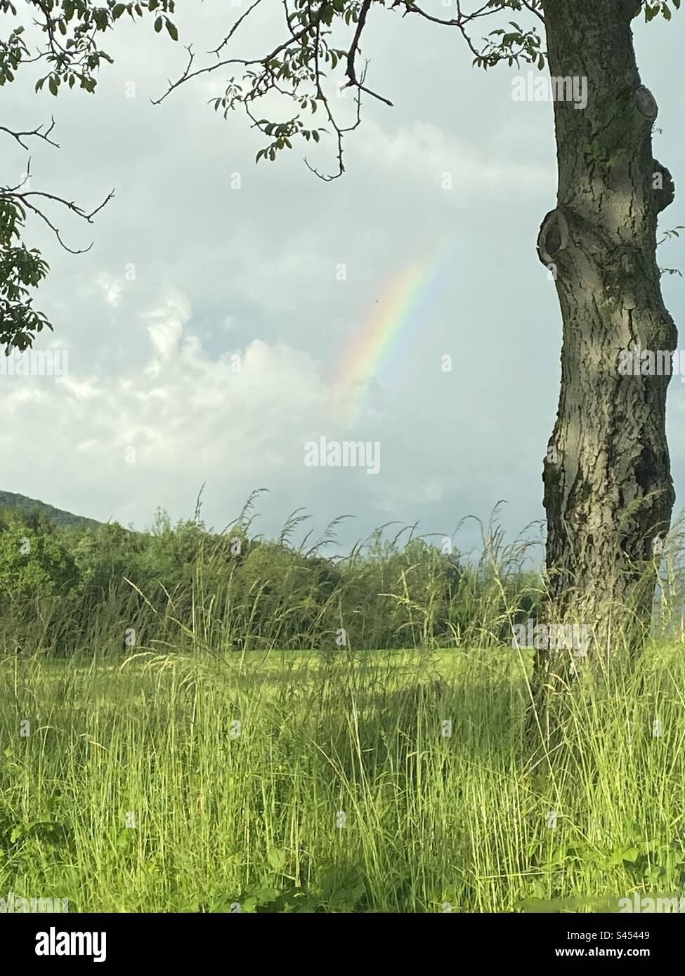 Rainbow grass hi-res stock photography and images - Alamy