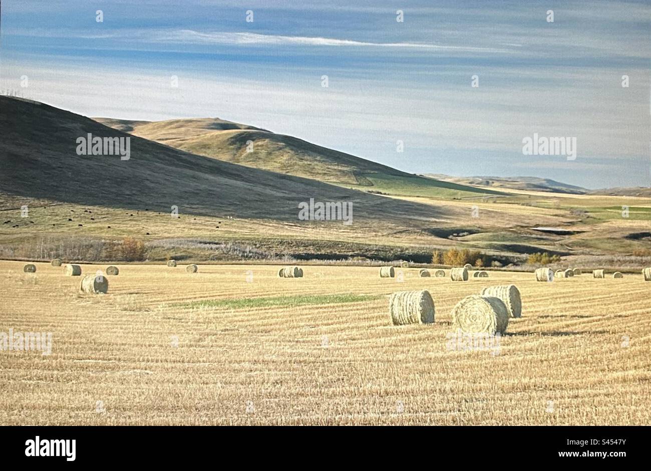 Canadian patterns hi-res stock photography and images - Alamy