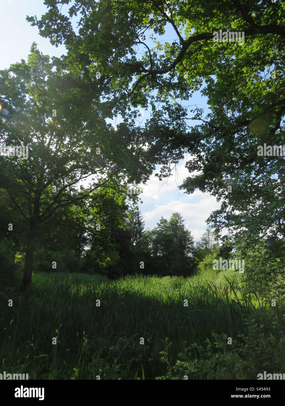 Sumner Pond! Switzerland! Stock Photo - Alamy