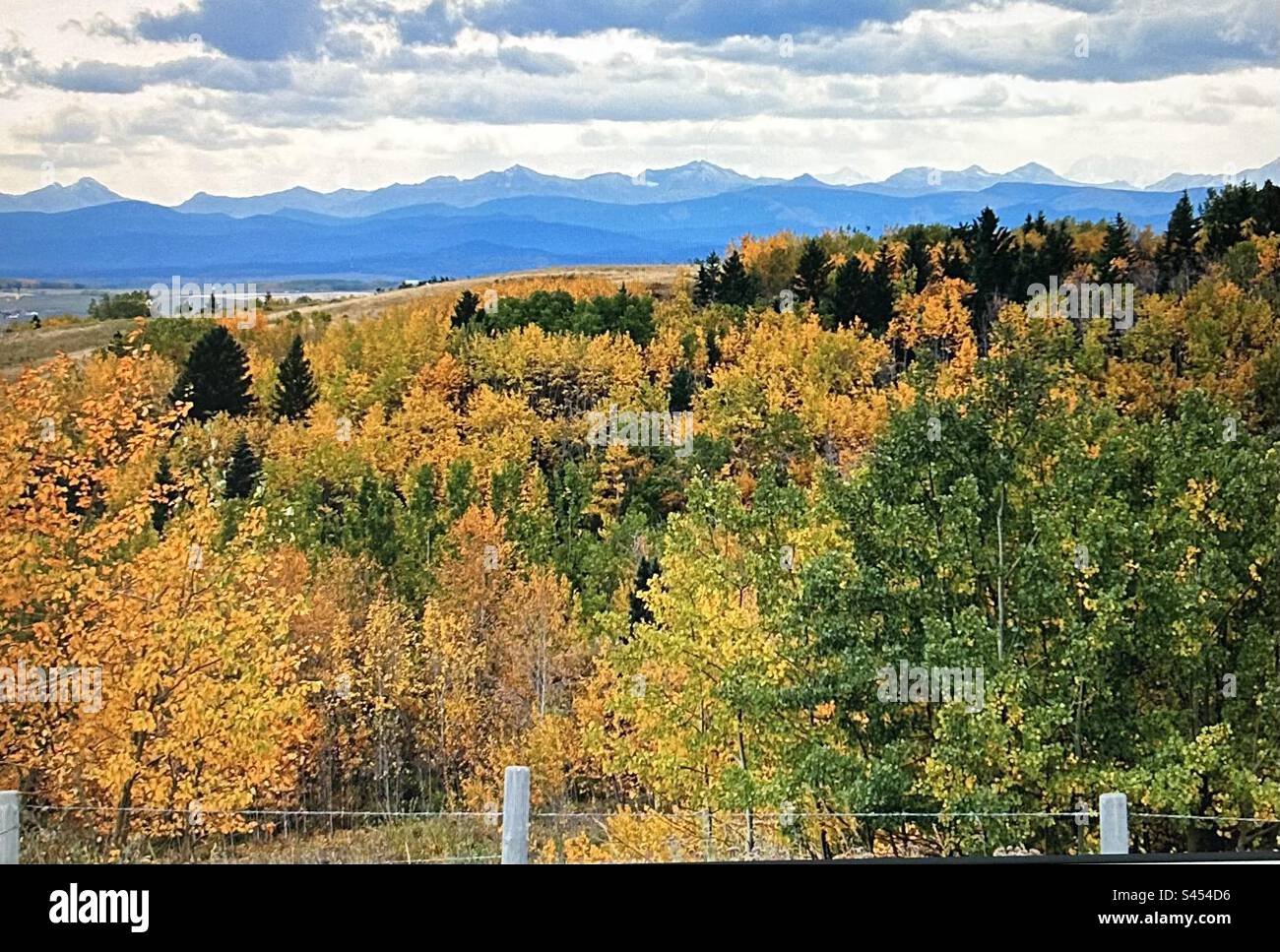 Patterns in nature, Canadian Rockies, Banff National Park, autumn on ...