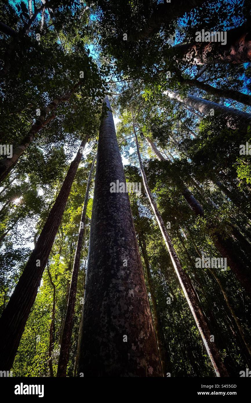 Kgari fraser island hi-res stock photography and images - Alamy
