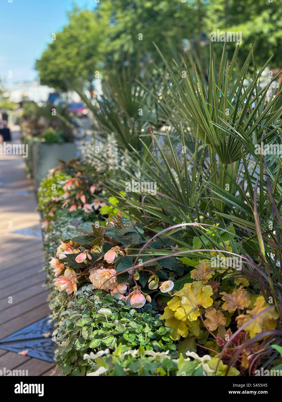 flower plantings on the street Stock Photo - Alamy