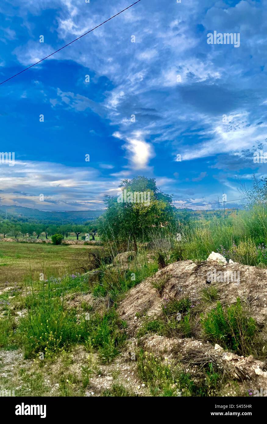 Goblin trees hi-res stock photography and images - Alamy