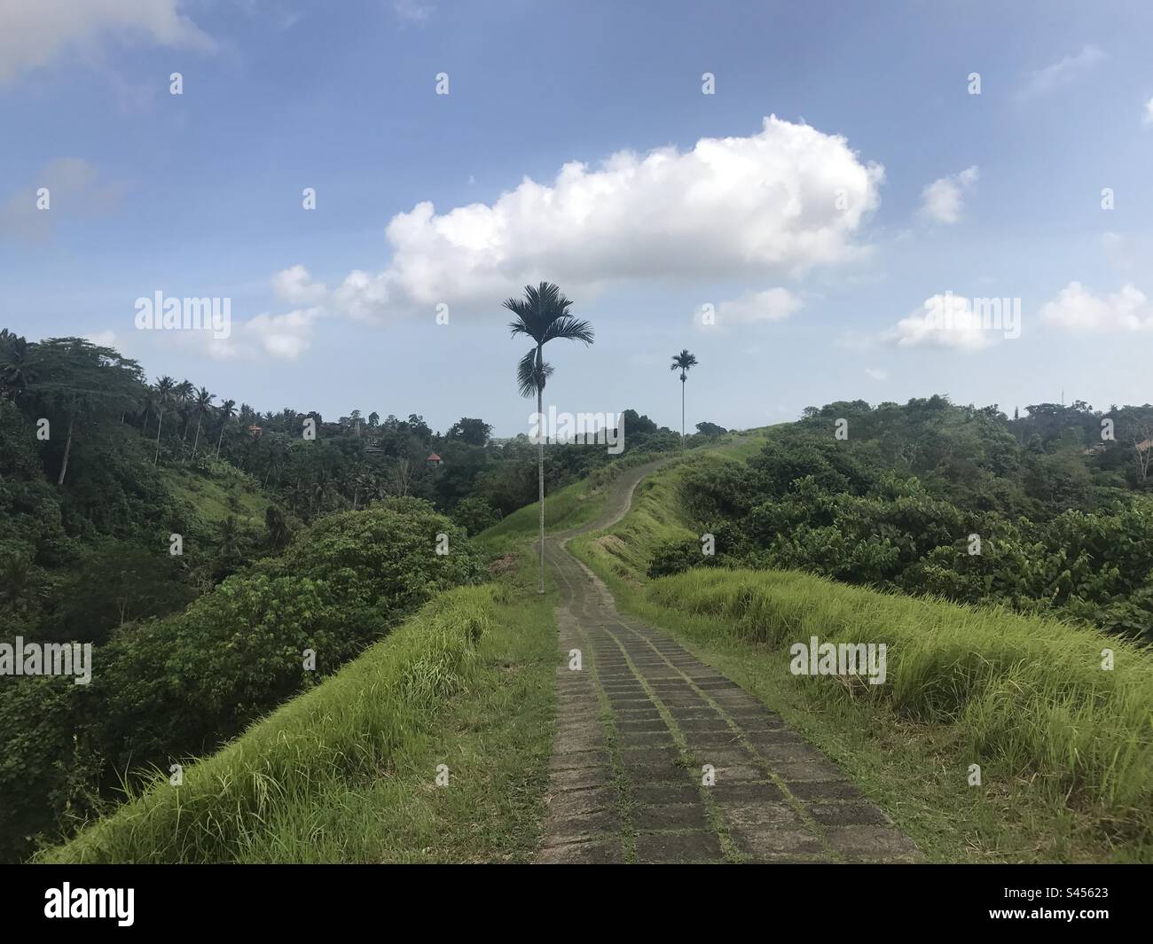 Ubud bali indonesia asia hi-res stock photography and images - Alamy
