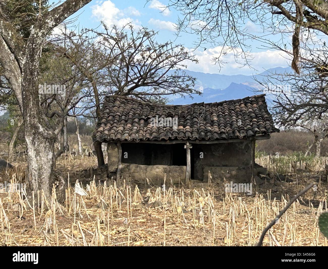 Viejos tiempos viejos tiempos hi-res stock photography and images - Alamy