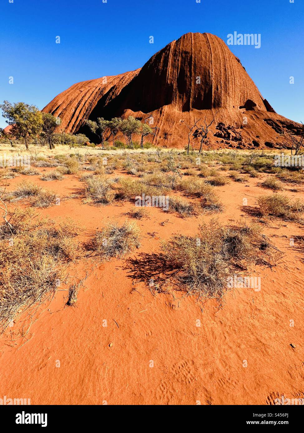 550 million years ago hi-res stock photography and images - Alamy