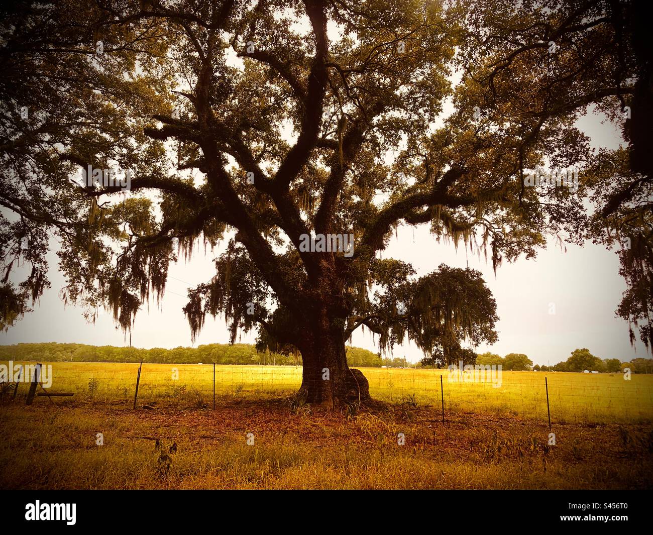 Ok country drive Stock Photo - Alamy