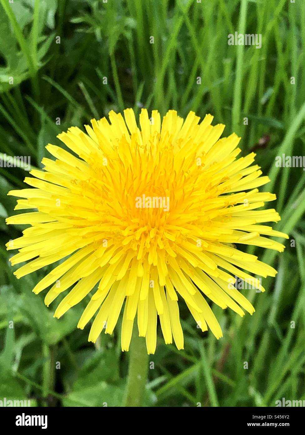Wet bed hi-res stock photography and images - Alamy