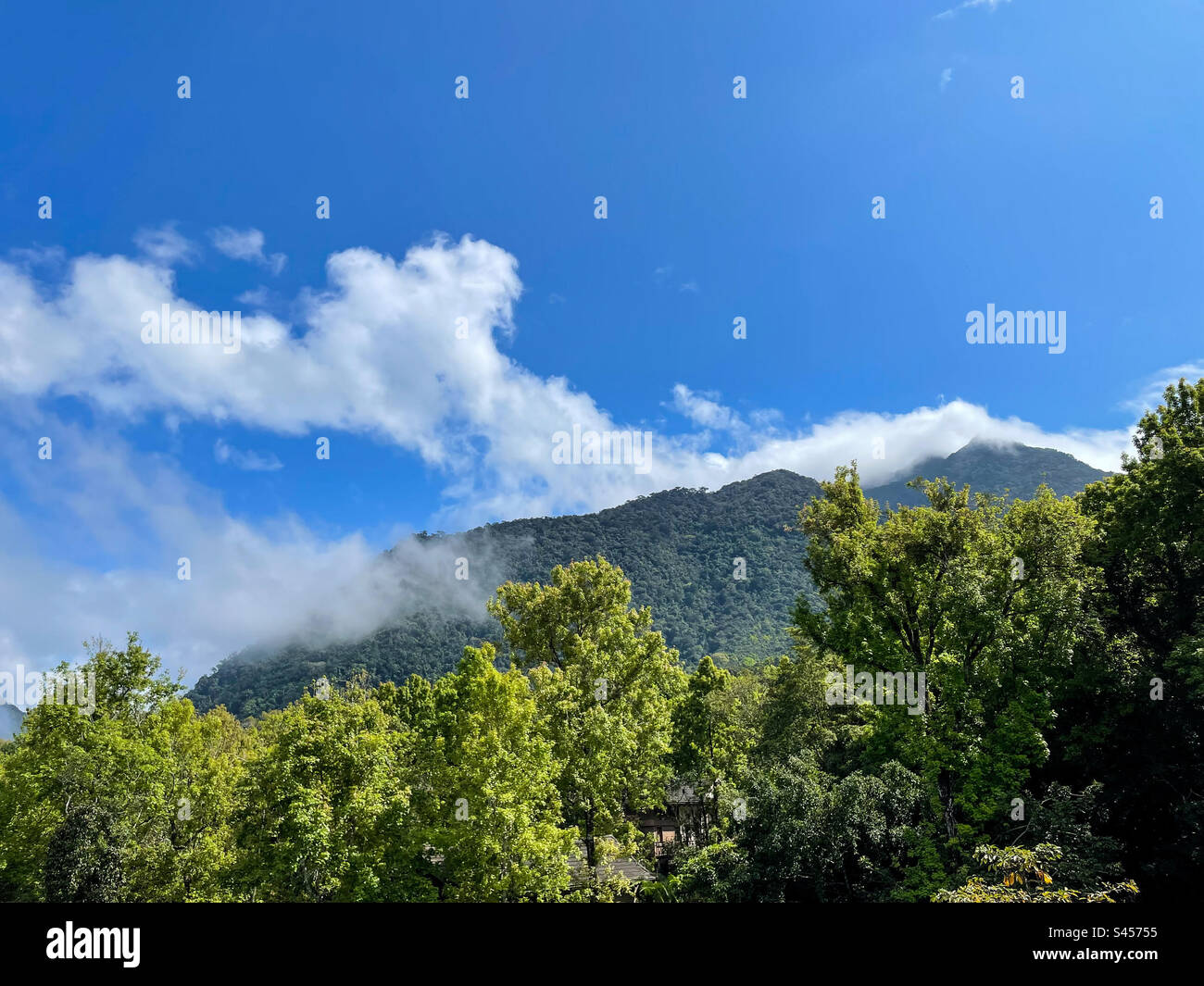 The most beautiful day hi-res stock photography and images - Alamy