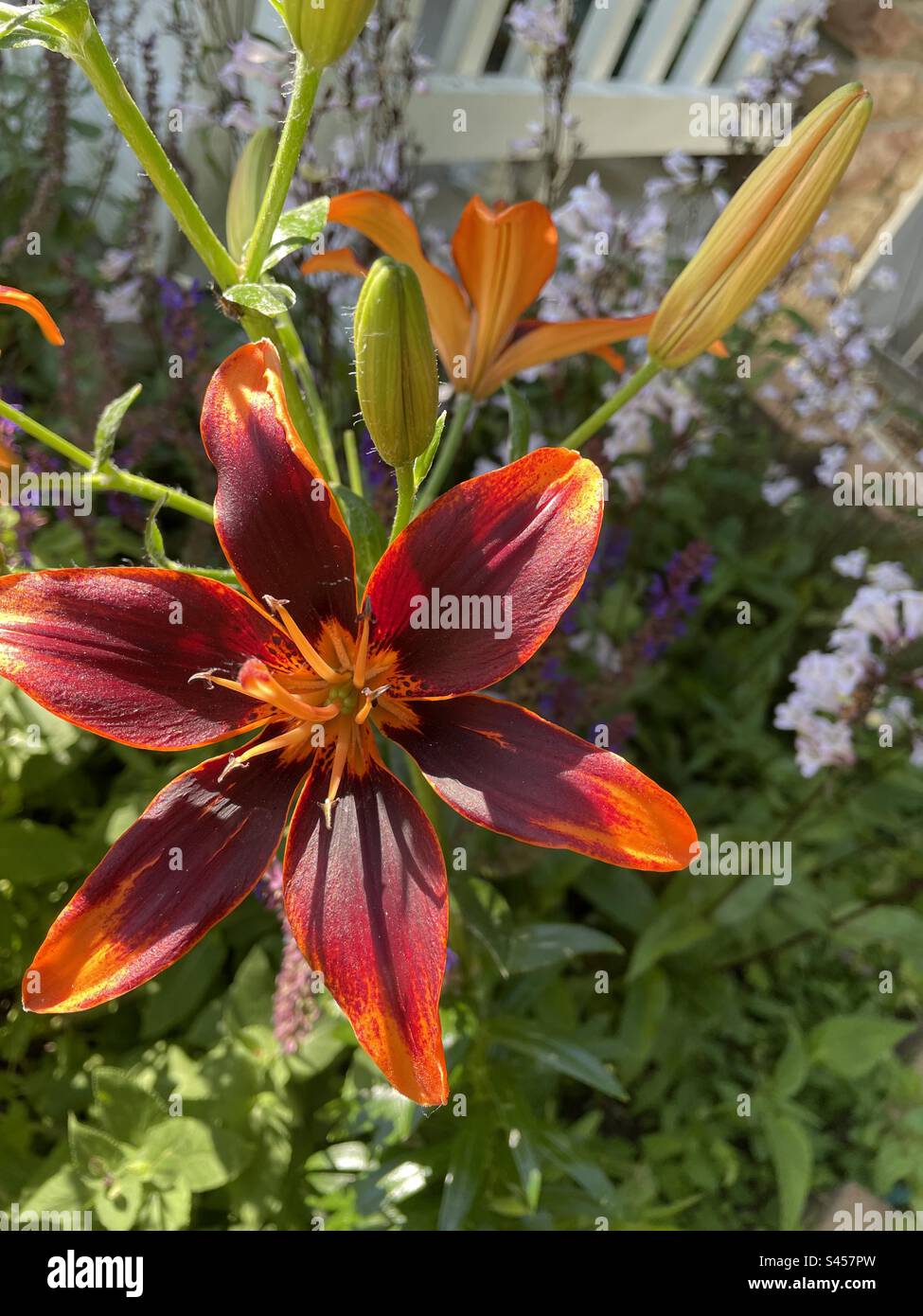 Warm weather colors hi-res stock photography and images - Alamy