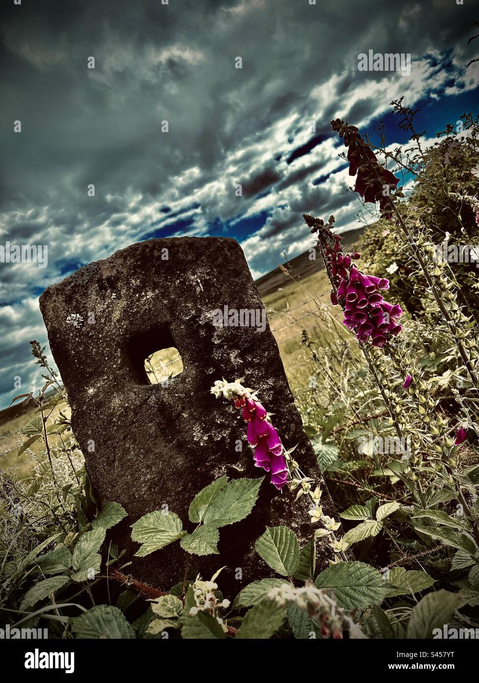 A moment, Langsett Stock Photo - Alamy