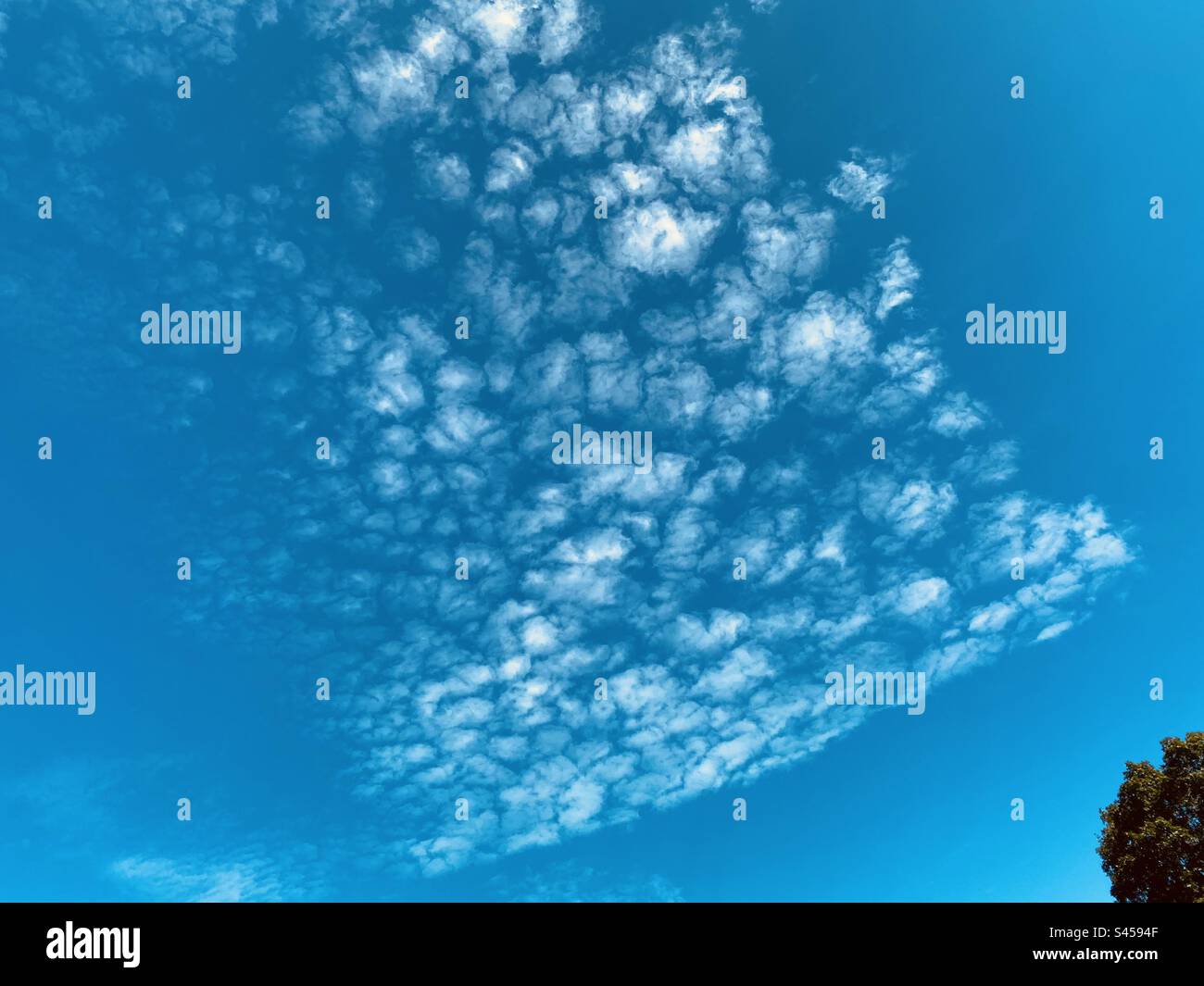 Cloud shapes animals hi-res stock photography and images - Alamy