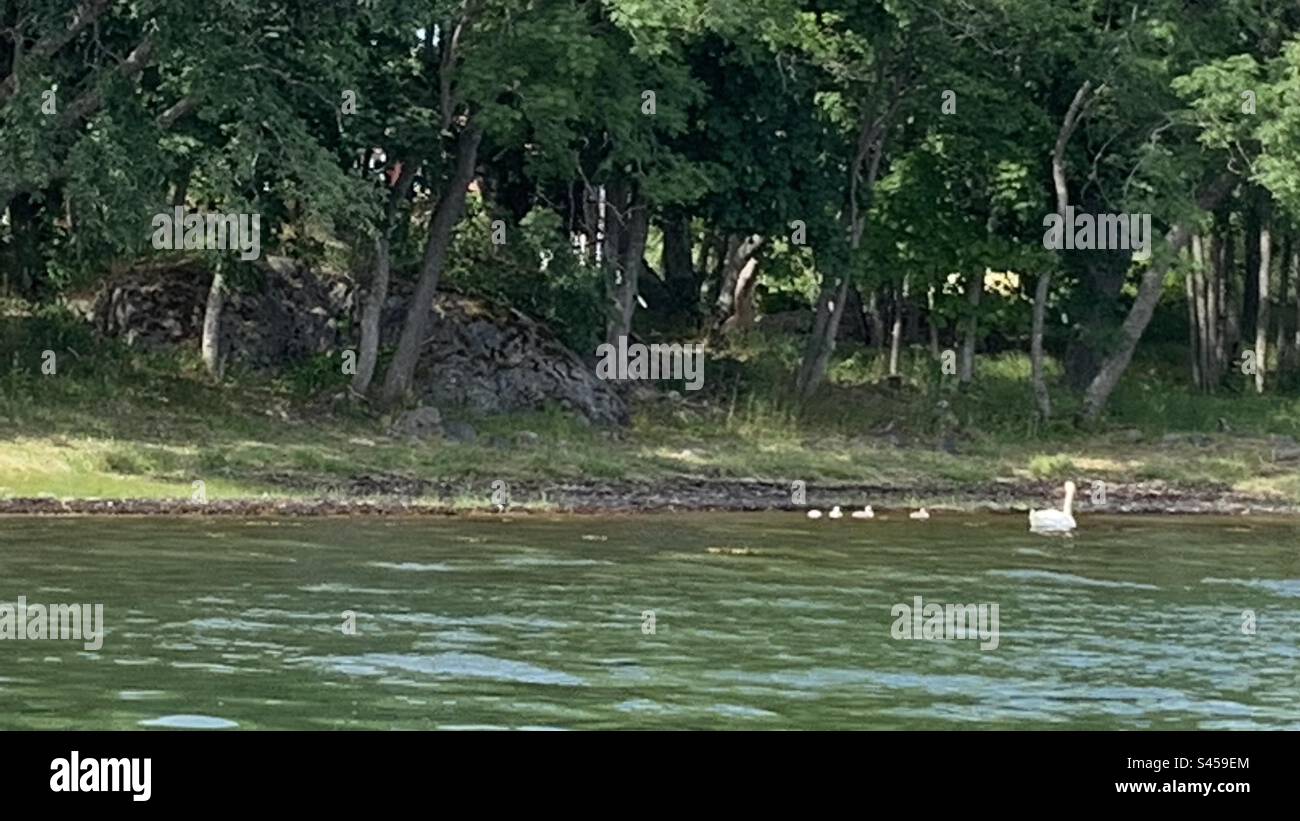 Kids swedish hi-res stock photography and images - Alamy