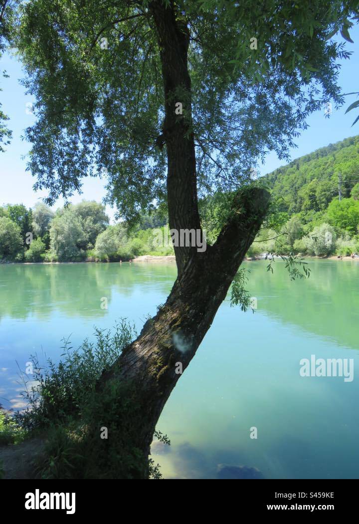 Aare fluss hi-res stock photography and images - Alamy