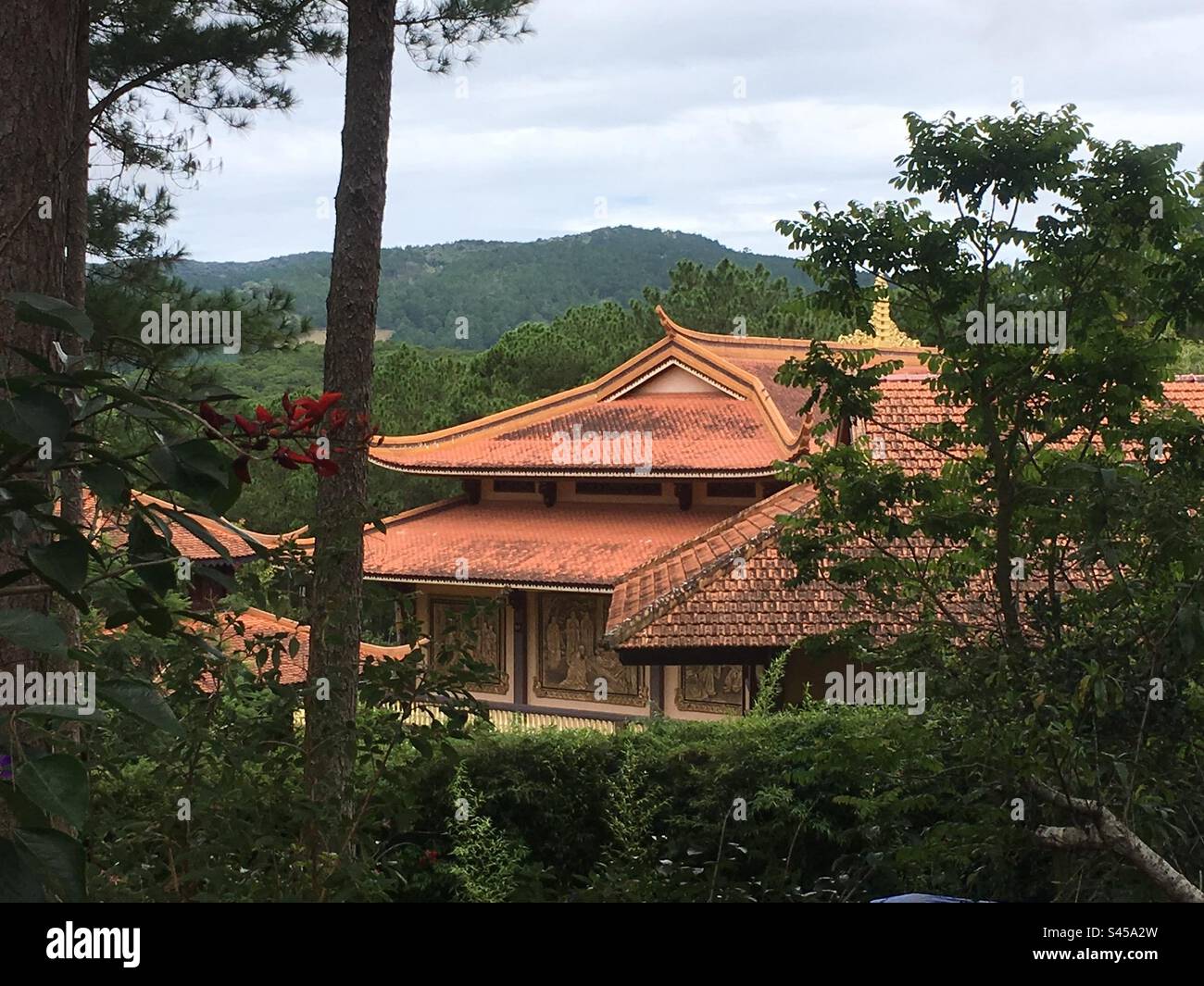 Da lat vietnam hi-res stock photography and images - Alamy