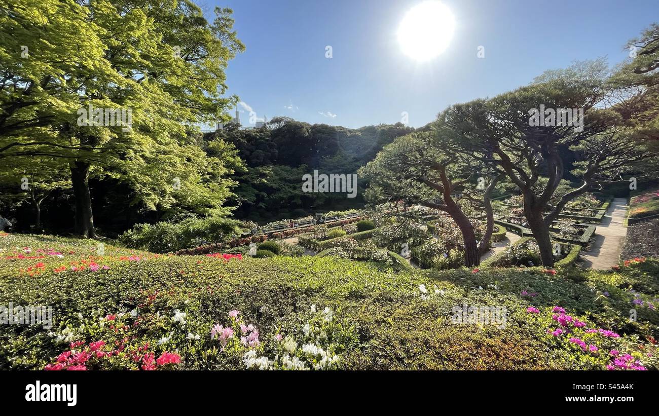 Japanese sun hi-res stock photography and images - Alamy