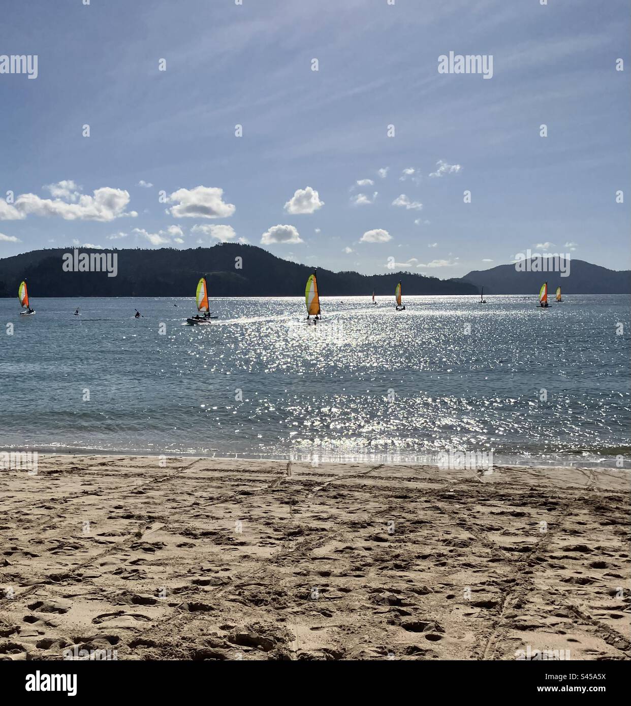 Hobi cats hi-res stock photography and images - Alamy