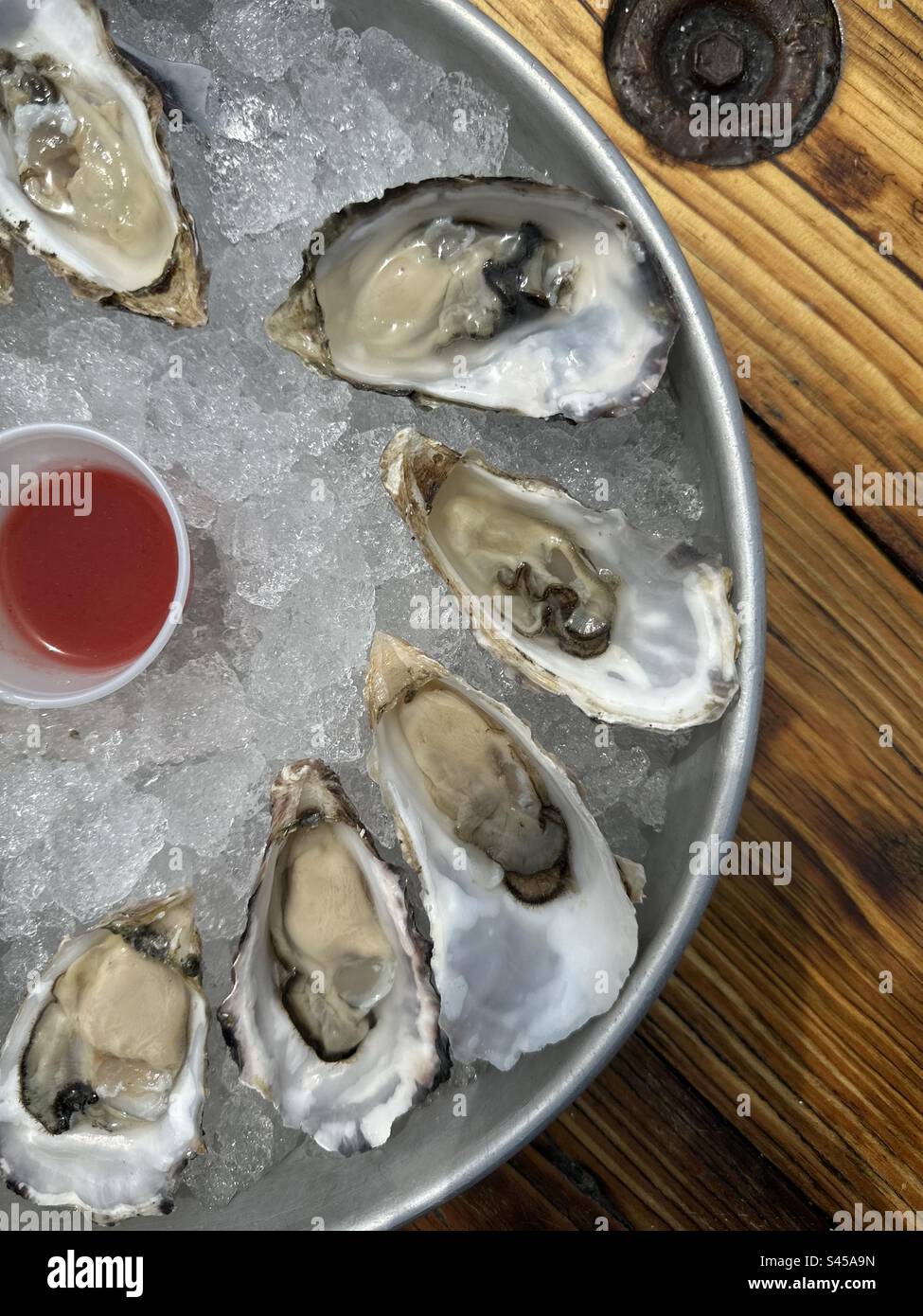 Oysters on the half shell in summer Stock Photo - Alamy