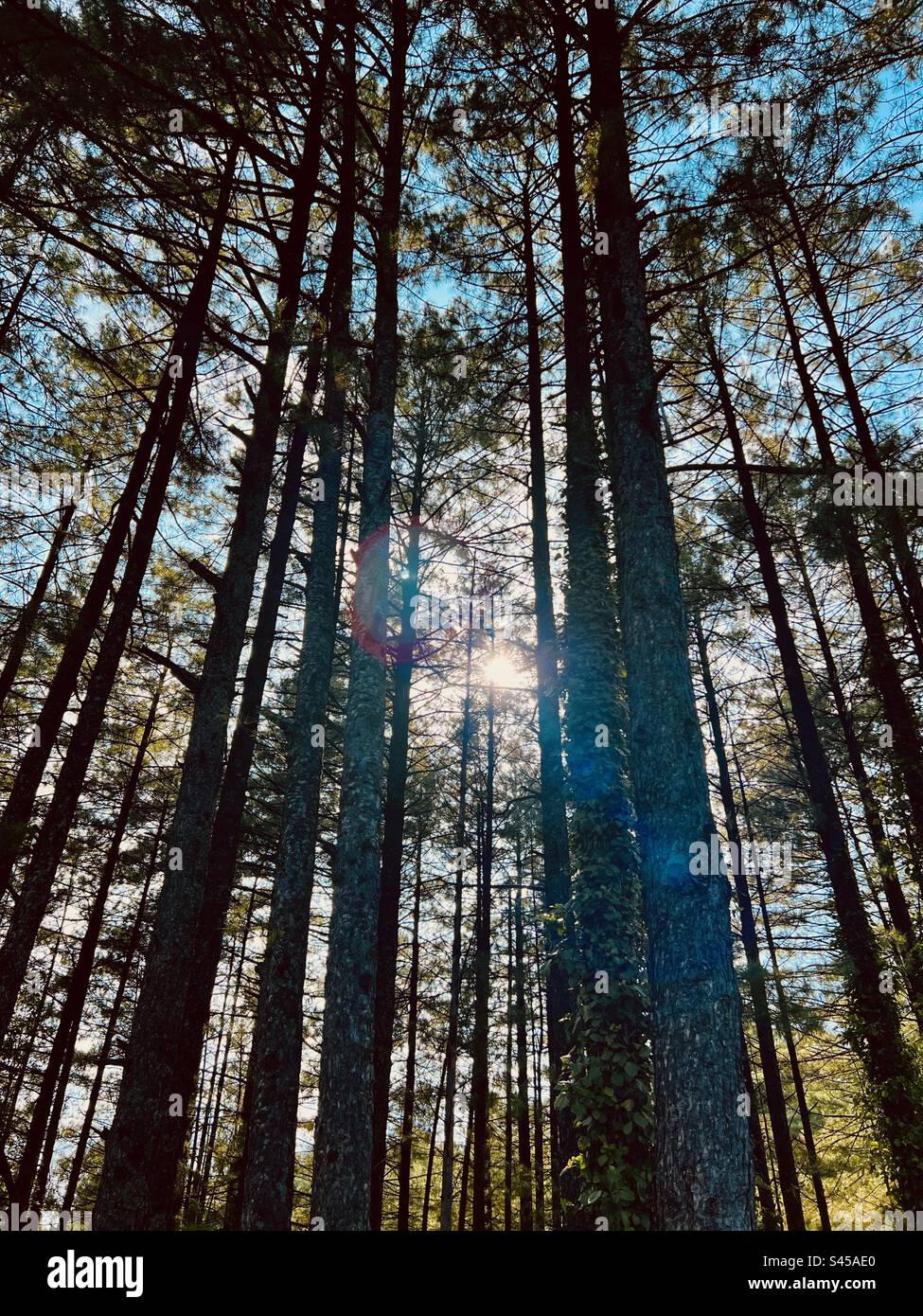 Murree hi-res stock photography and images - Alamy