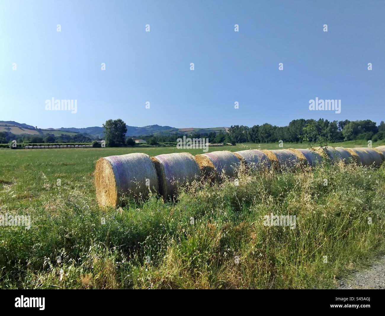 Hay rolls hi-res stock photography and images - Alamy