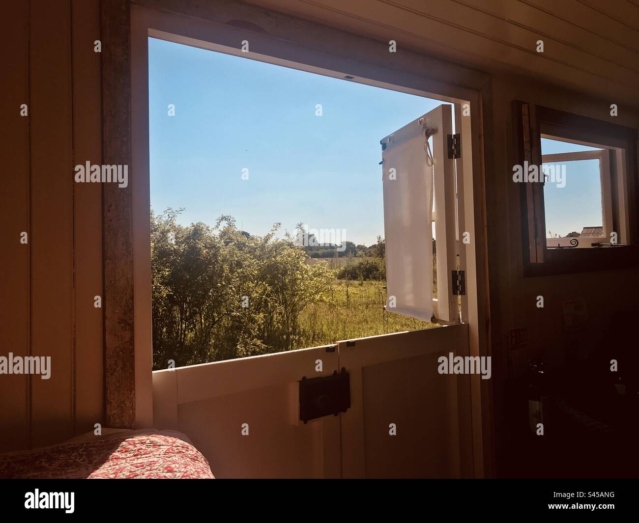 Morning view, shepherds hut, Knepp castle estate, Sussex Stock Photo ...
