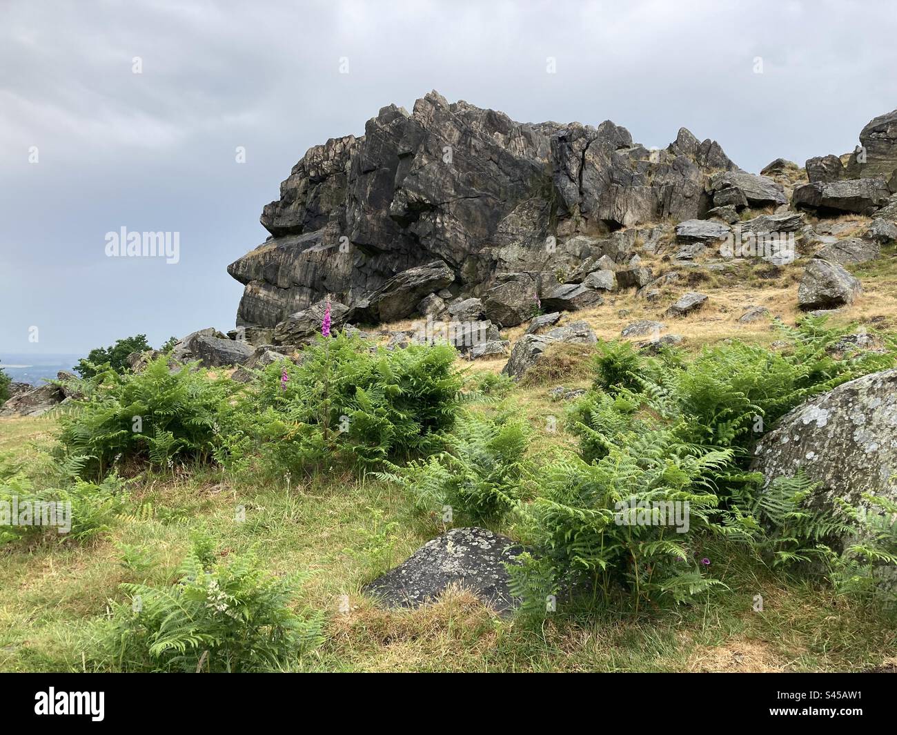 Beacon Hill - Climbing to the top Stock Photo - Alamy