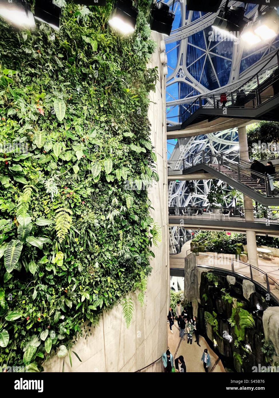 Inside Amazon Spheres in Seattle Stock Photo - Alamy