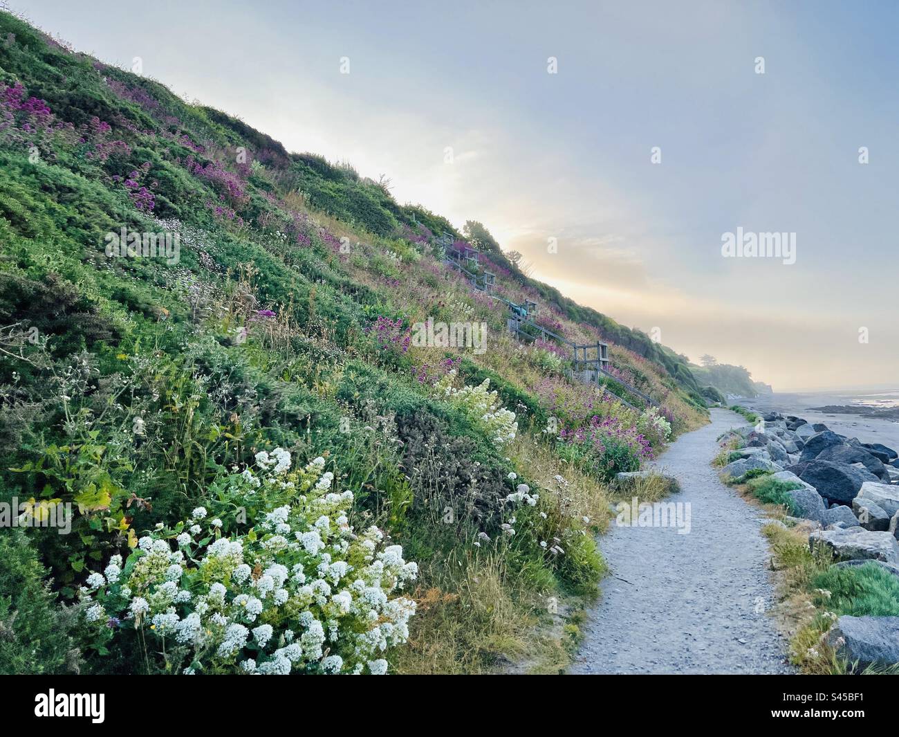 Coastal path at sunset hi-res stock photography and images - Alamy