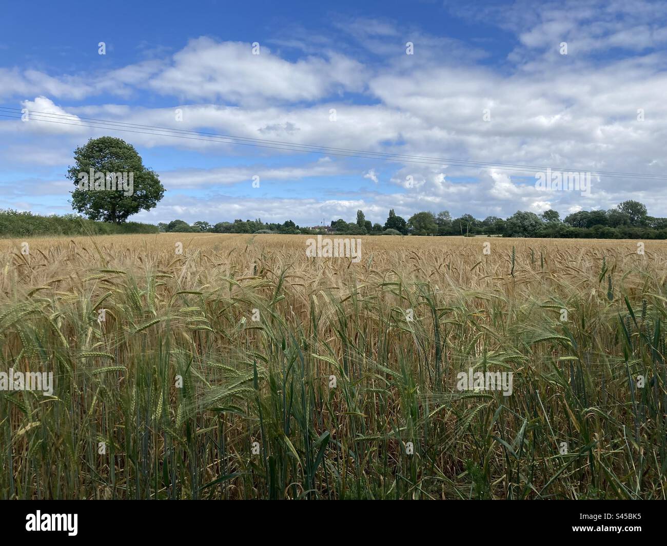 Barlestone hi-res stock photography and images - Alamy