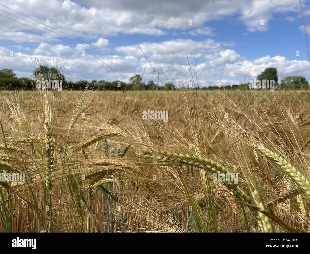 Barlestone hi-res stock photography and images - Alamy